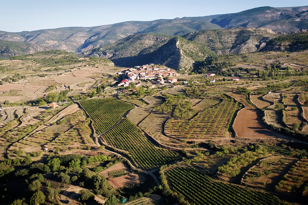 Alto Turia – Valentino - Enoturismo